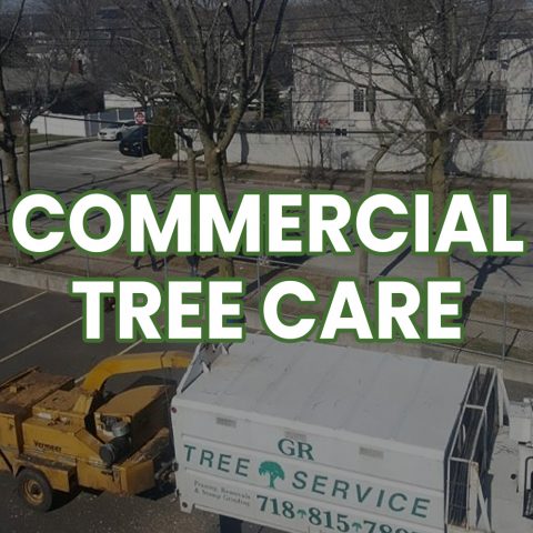Staten Island Tree Removal, Tree Trimming & Care | G&R Tree Service