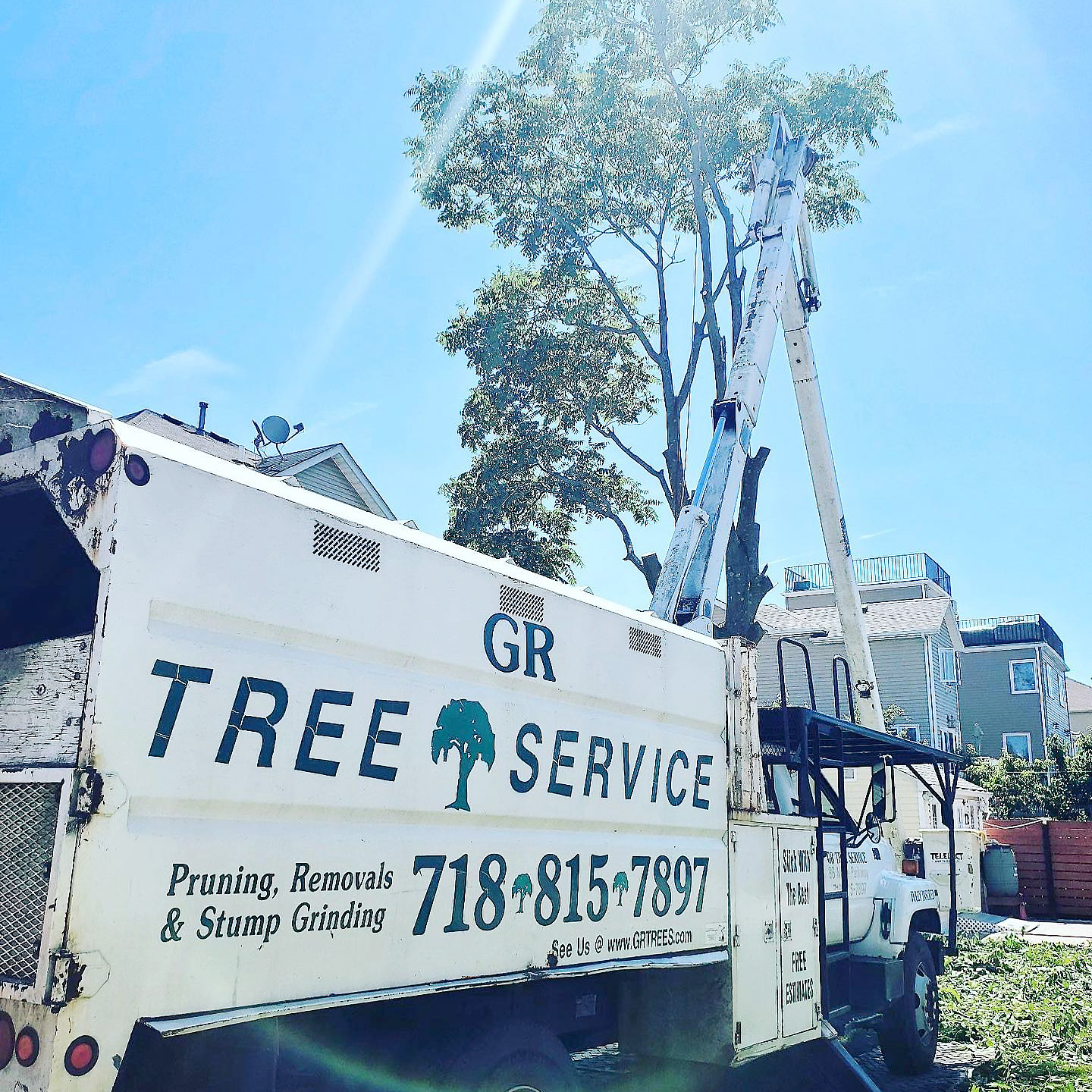 Tree Removal Tips - G&R Tree Service
